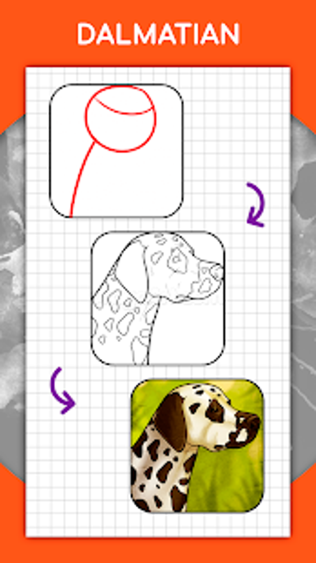 How to draw animals. Step by step drawing lessons APK para Android ...