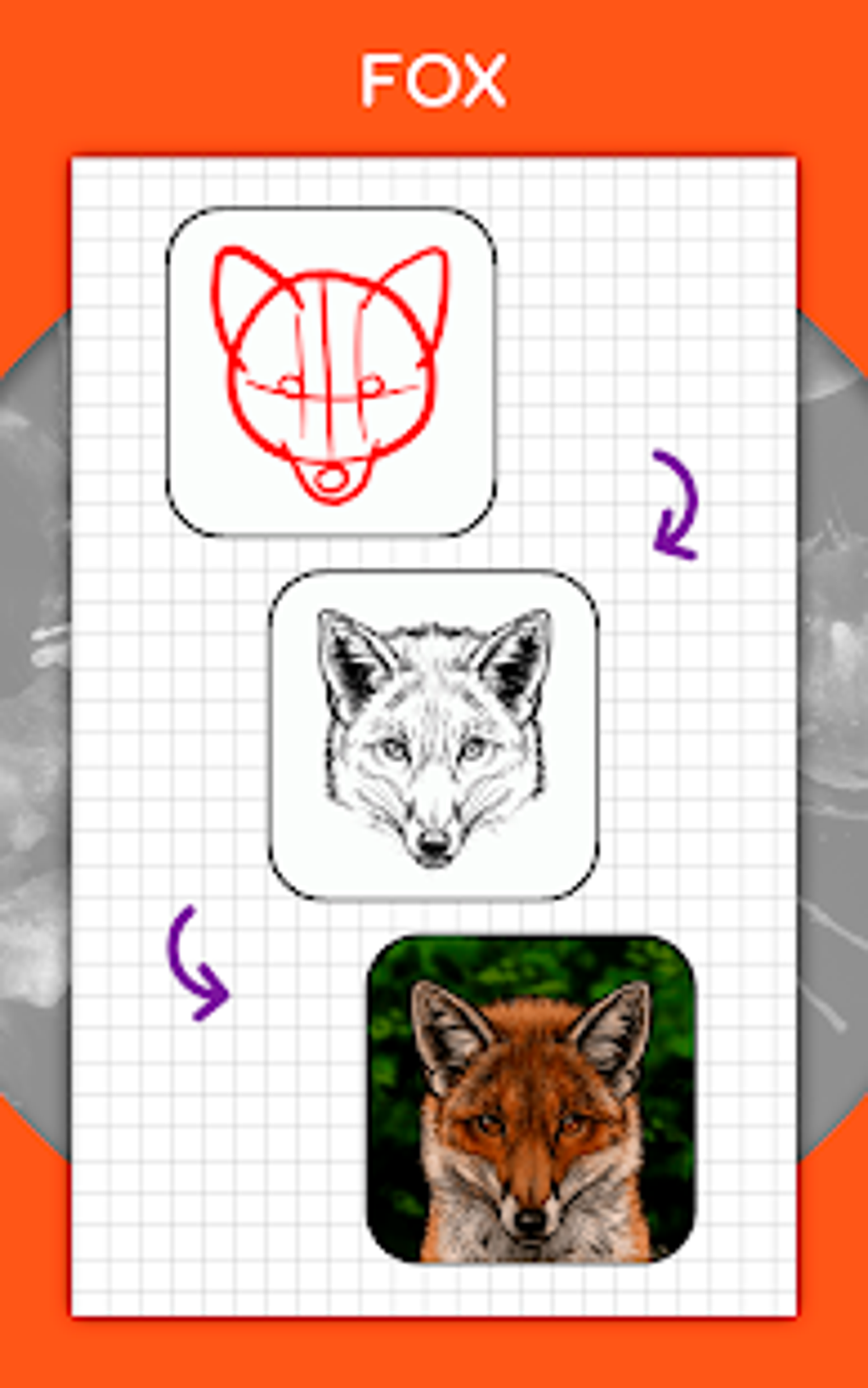 How to draw animals. Step by step drawing lessons APK para Android ...