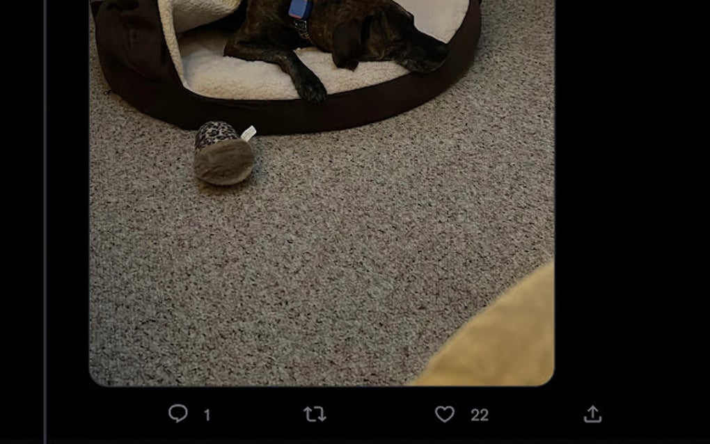 Hide Twitter View Counts Google Chrome 용 - 확장 프로그램 다운로드