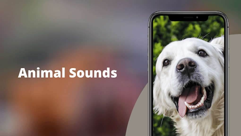 Animal Sounds para Android - Descargar