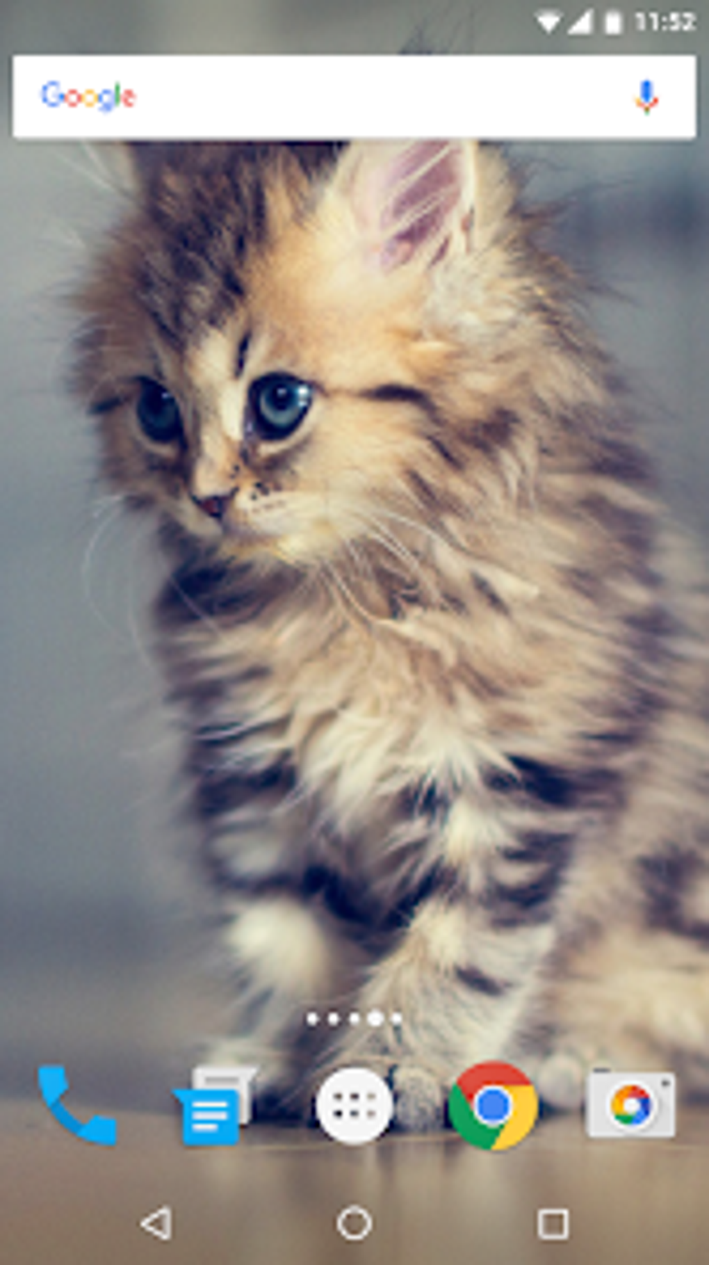 Cats Wallpapers para Android - Descargar