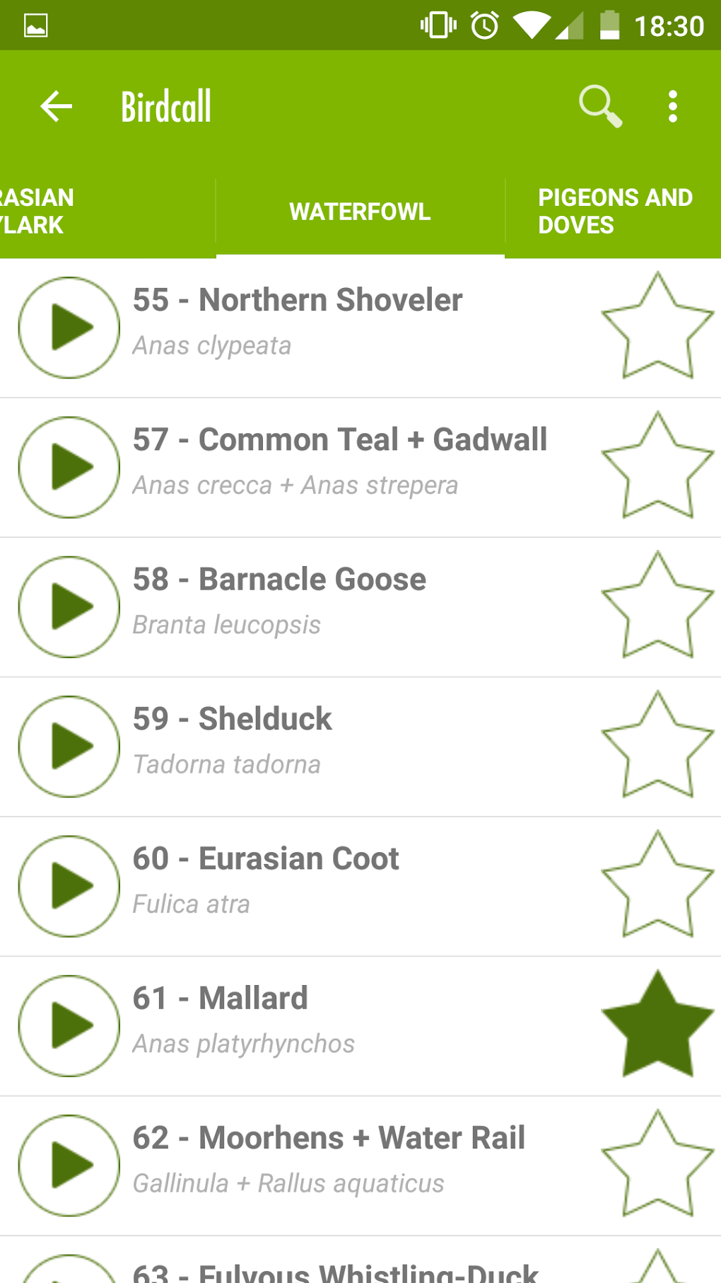 Hunting - birdcall birdsong APK for Android - Download