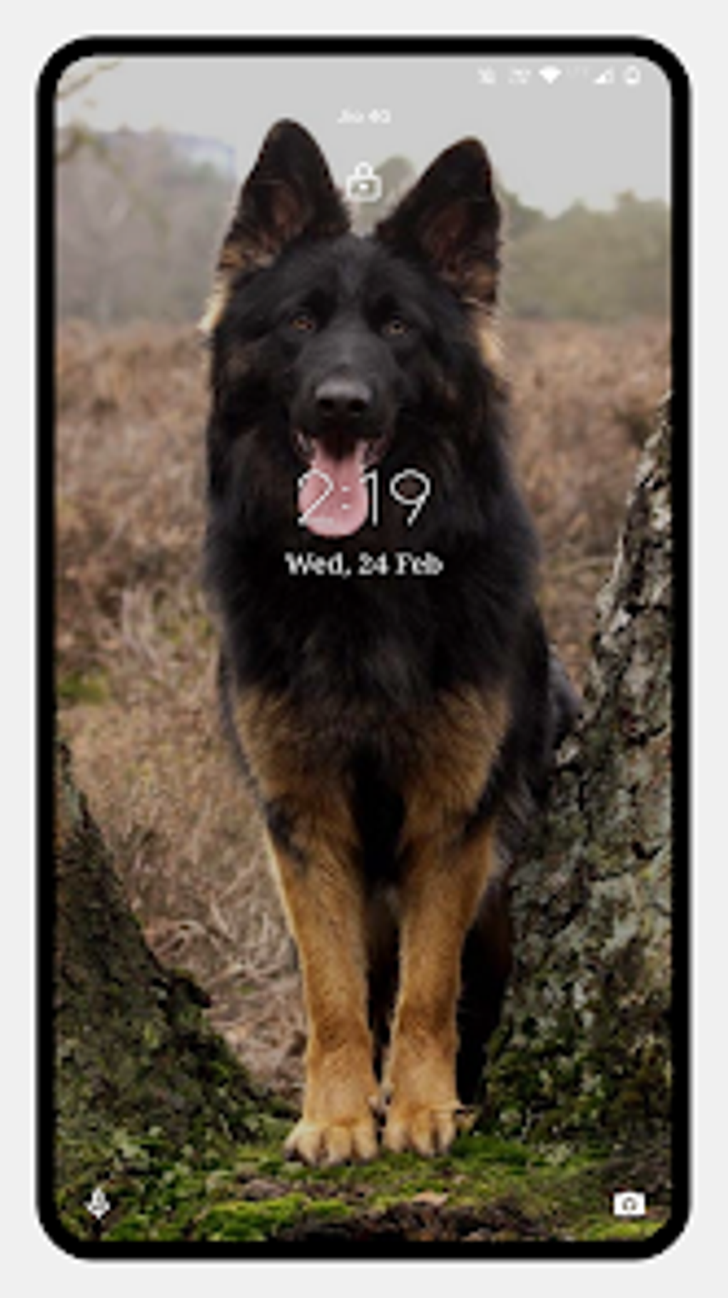 German Shepherd Dog Wallpapers for Android - Download