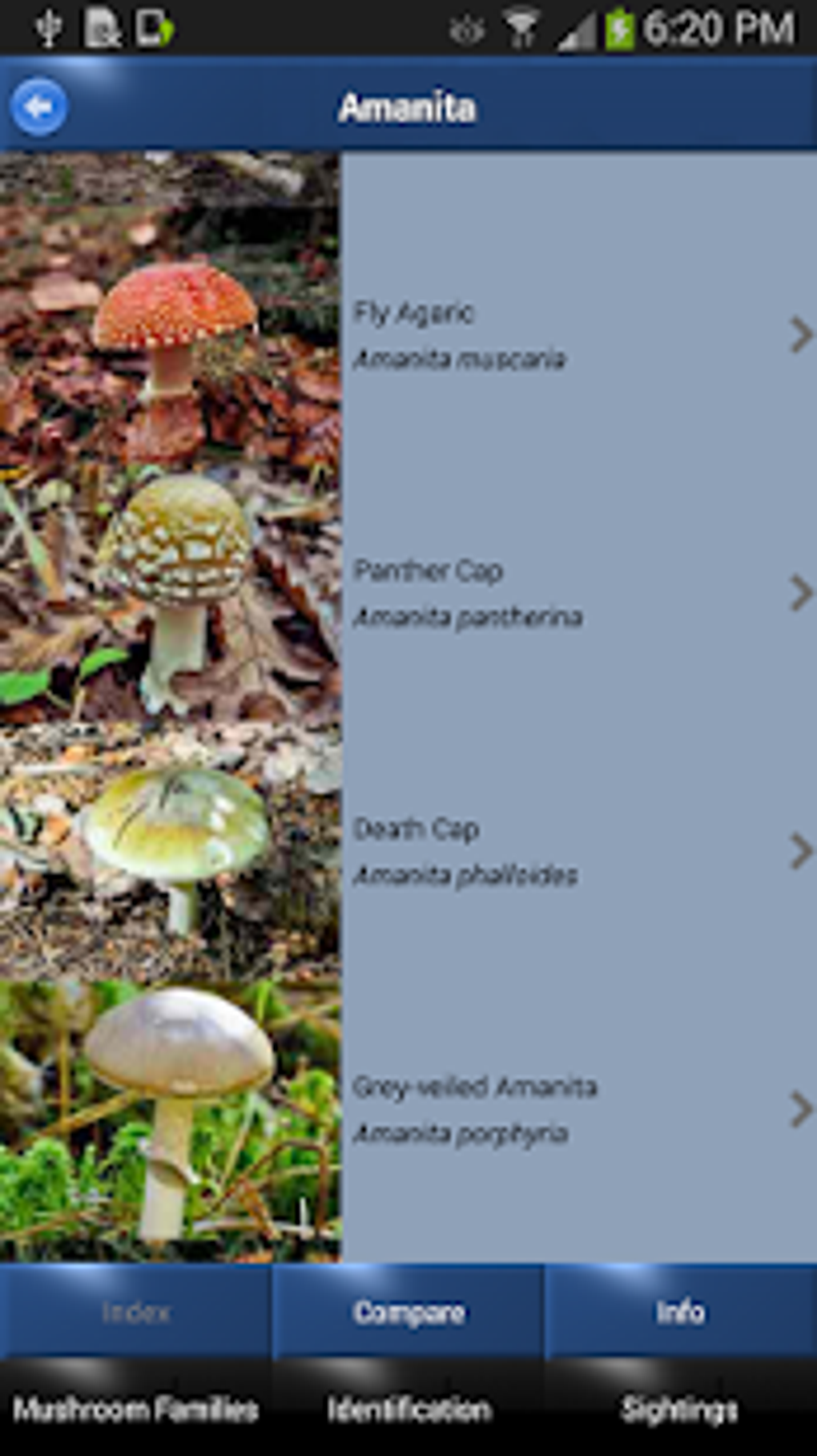 Mushroom Id - British Fungi para Android - Descargar