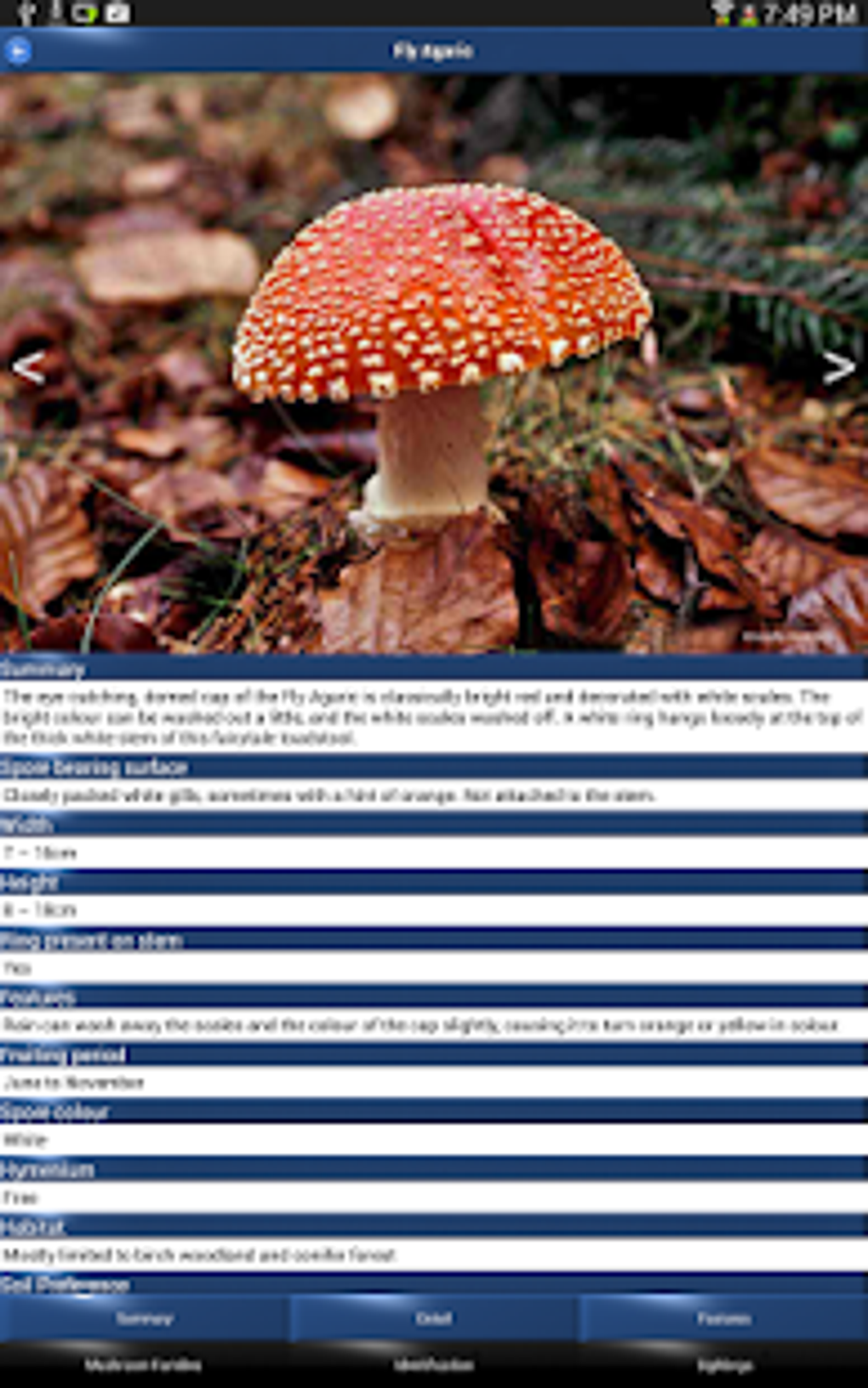 Mushroom Id - British Fungi for Android - Download