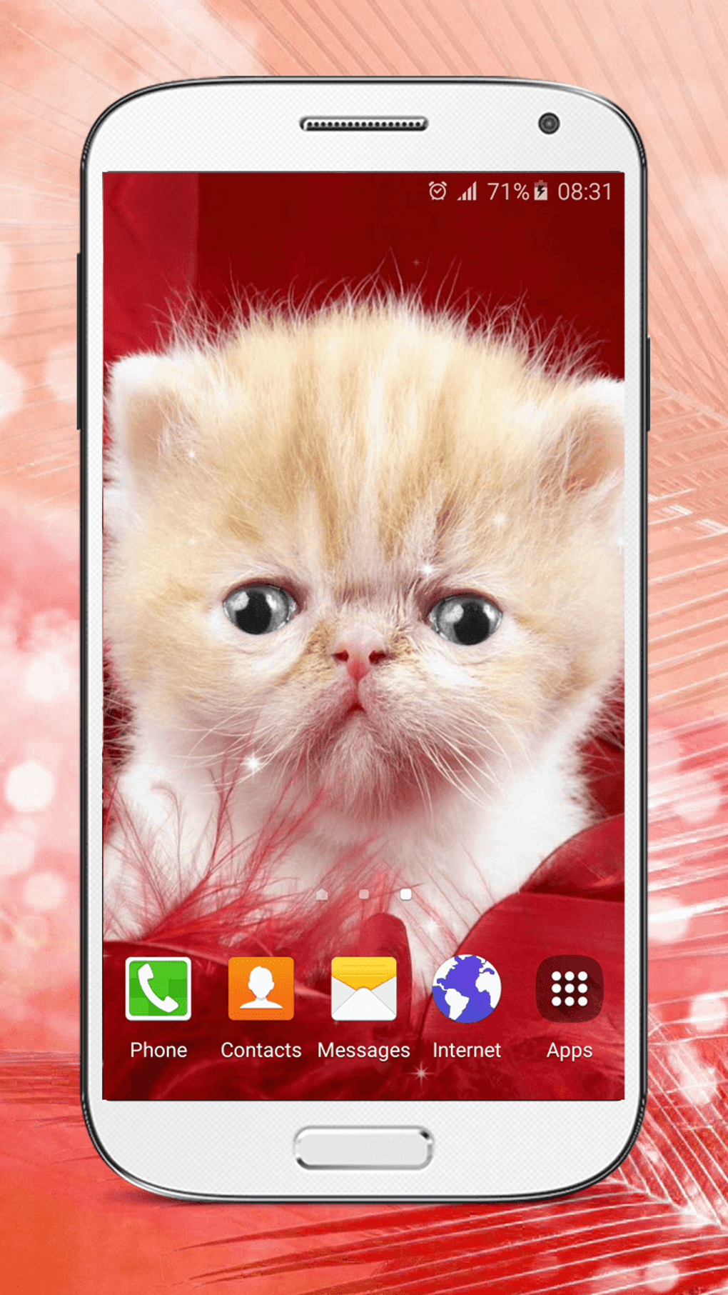 Kittens Live Wallpapers HD for Android - Download