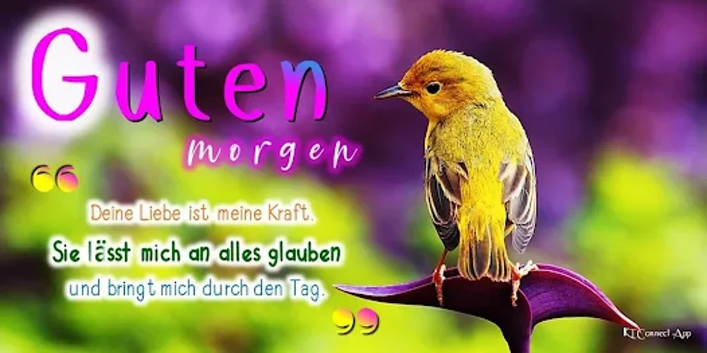 Good Morning In German For Android Good Morning In German For Android