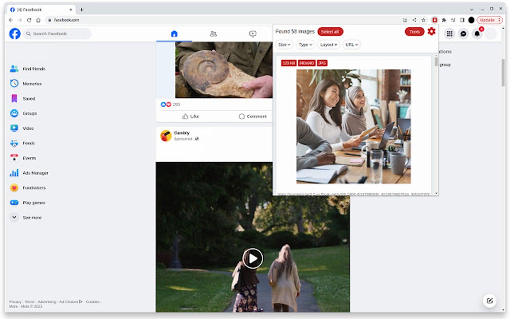 Image Downloader per Google Chrome - Estensione Download