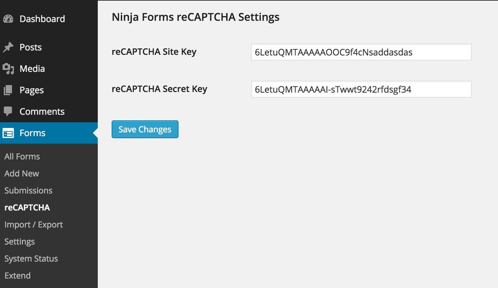 reCAPTCHA for Ninja Forms for WordPress - Download