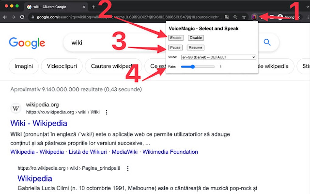 VoiceMagic: Transform Text into Spoken Words for Google Chrome ... VoiceMagic: Transform Text into Spoken Words for Google Chrome ...