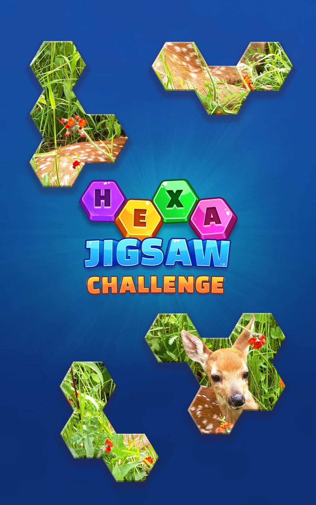 Hexa Jigsaw Challenge for Android - Download