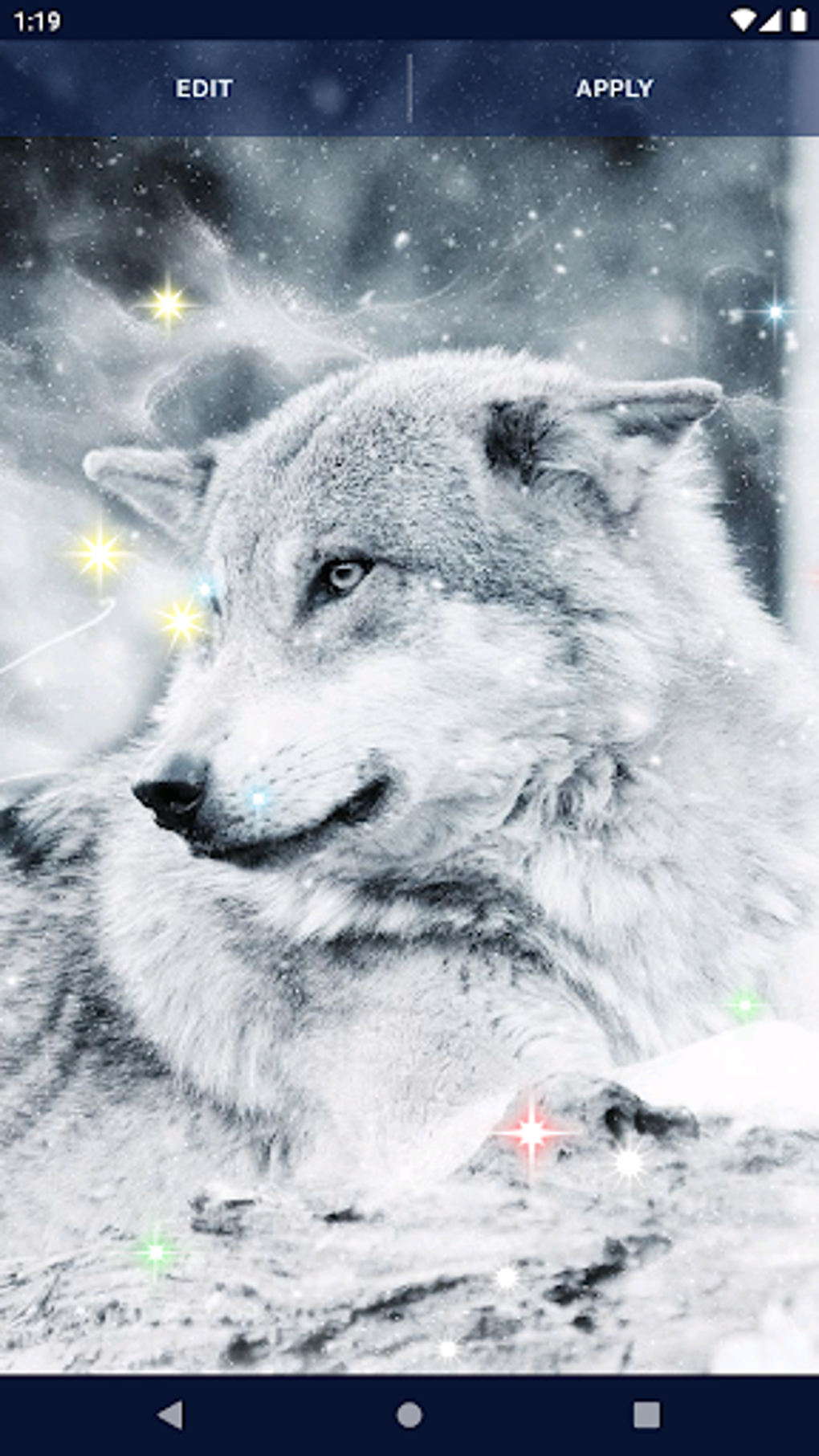 Night Wolf Live Wallpaper APK for Android - Download