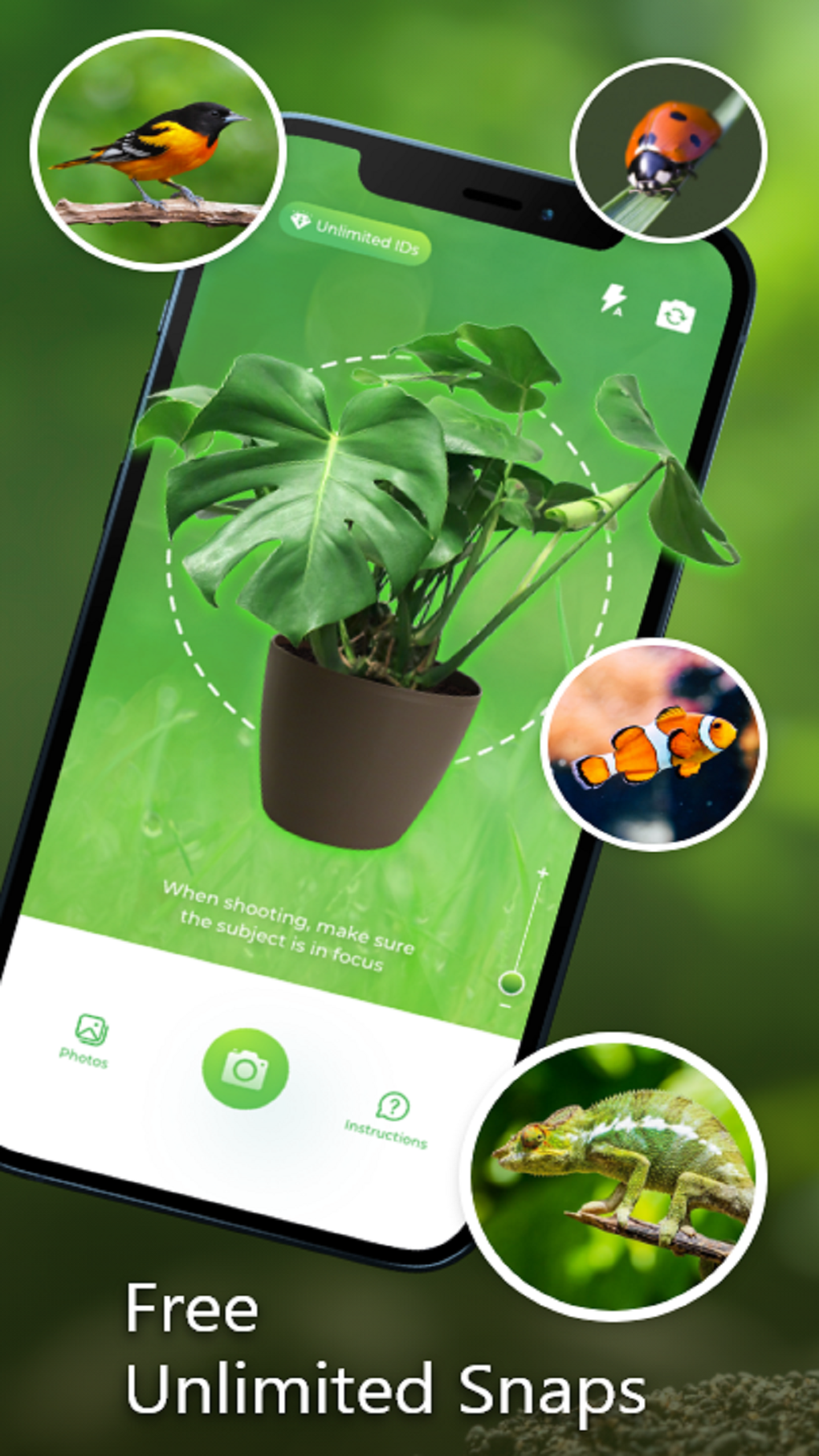 Plant Identification PlantAD For IPhone Download