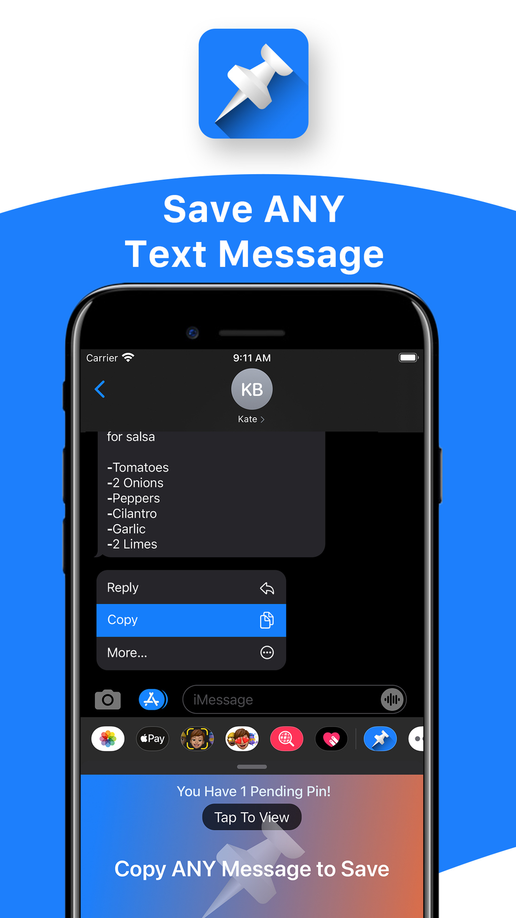 PinIt All-In-One Organizer for iPhone - Download