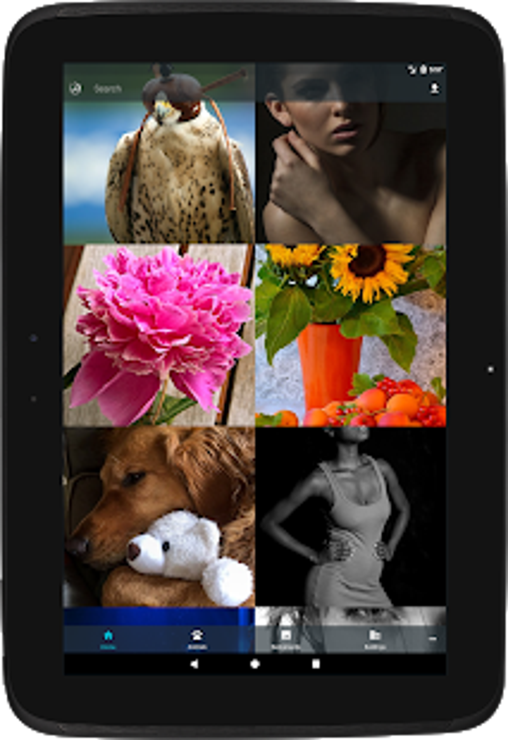 Silax HD Wallpapers para Android - Descargar