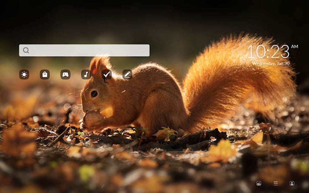 My Fall Animals HD Wallpapers New Tab for Google Chrome - Extension ...