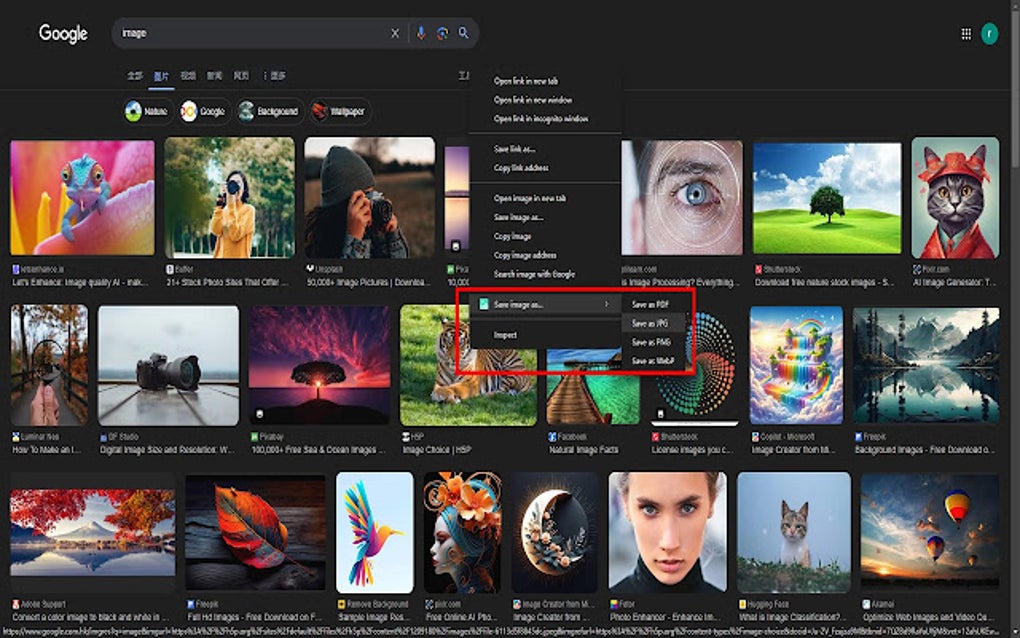 Save image to PDF สำหรับ Google Chrome - ส่วนขยาย ดาวน์โหลด