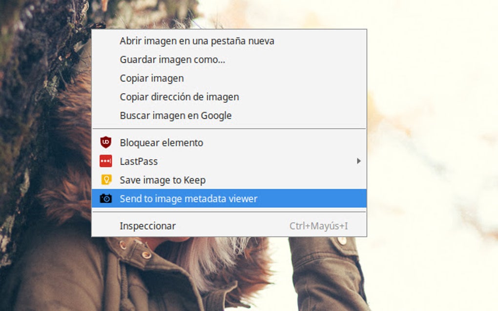 Send to Exif Viewer para Google Chrome - Extensión Descargar