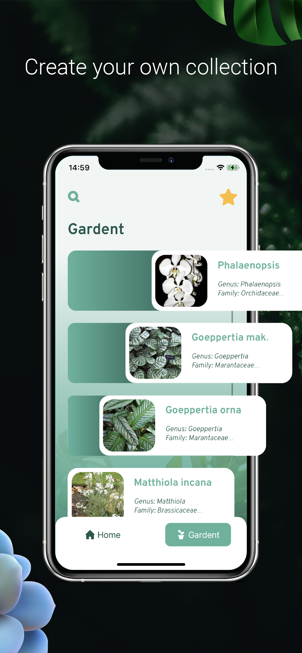 Android için Plant ID: Plant Identification APK - İndir