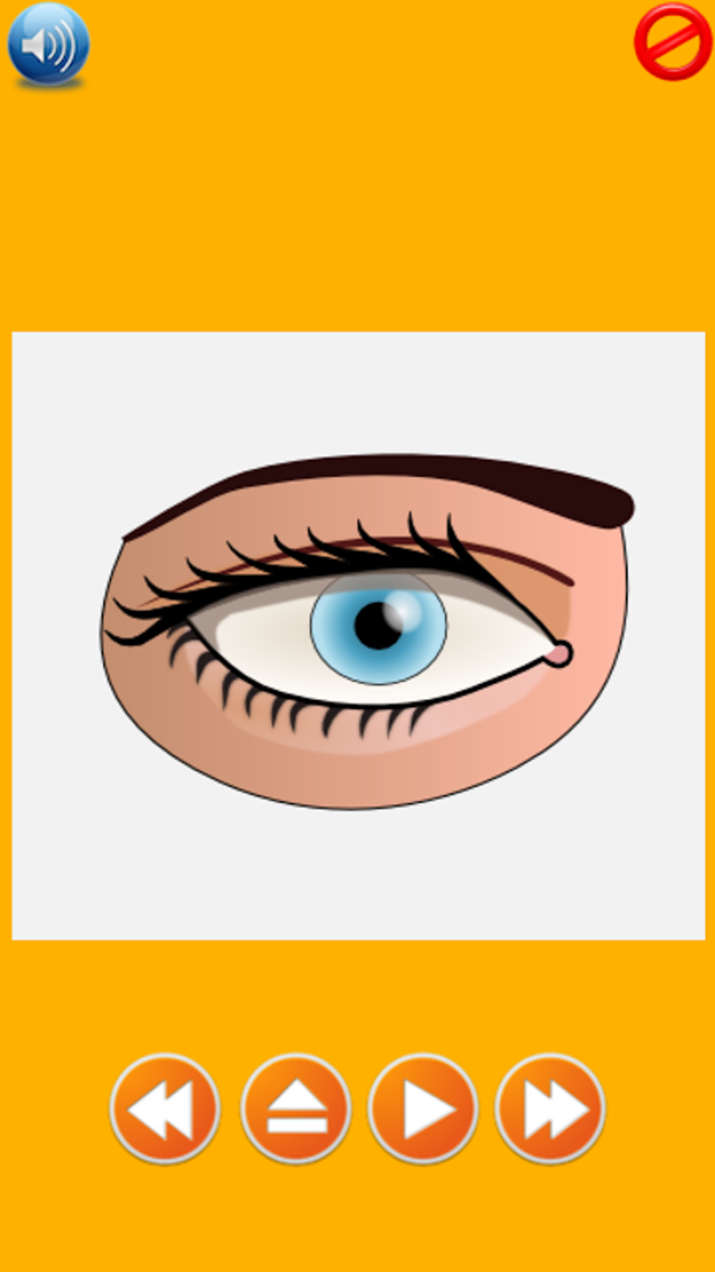 Human Body Parts for Kids APK for Android - Download