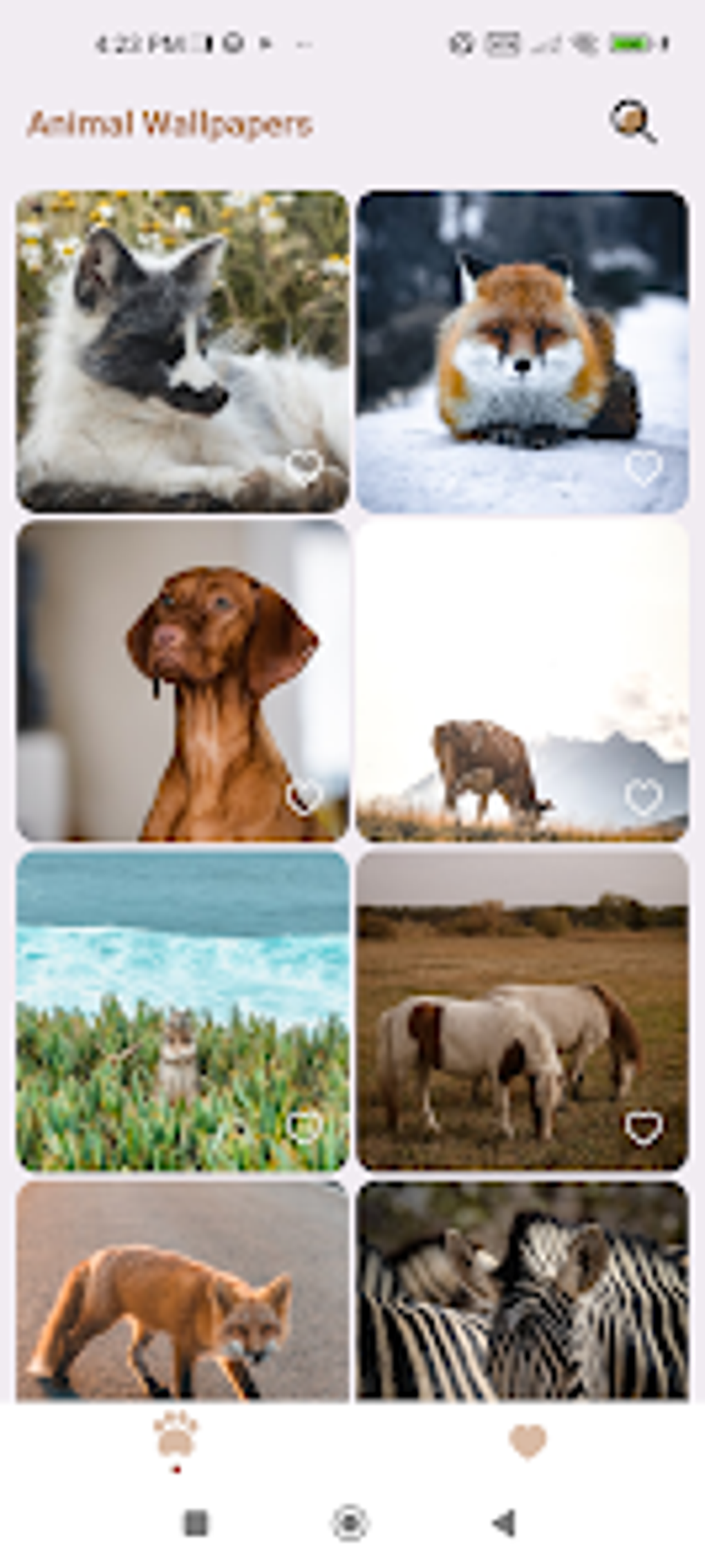 Animal Wallpapers:4K Wallpaper สำหรับ Android - ดาวน์โหลด