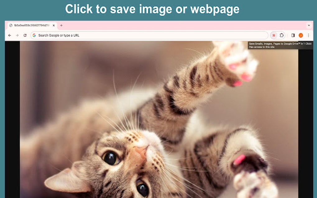 Save To Drive for Google Chrome - Extension Download