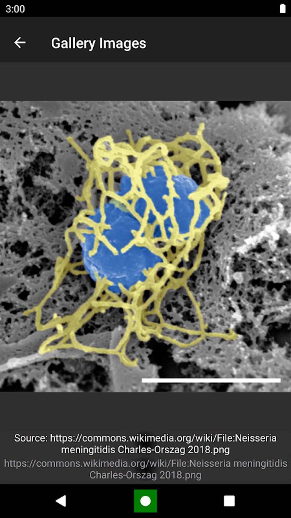 Bacteria: Types, Infections for Android - Download