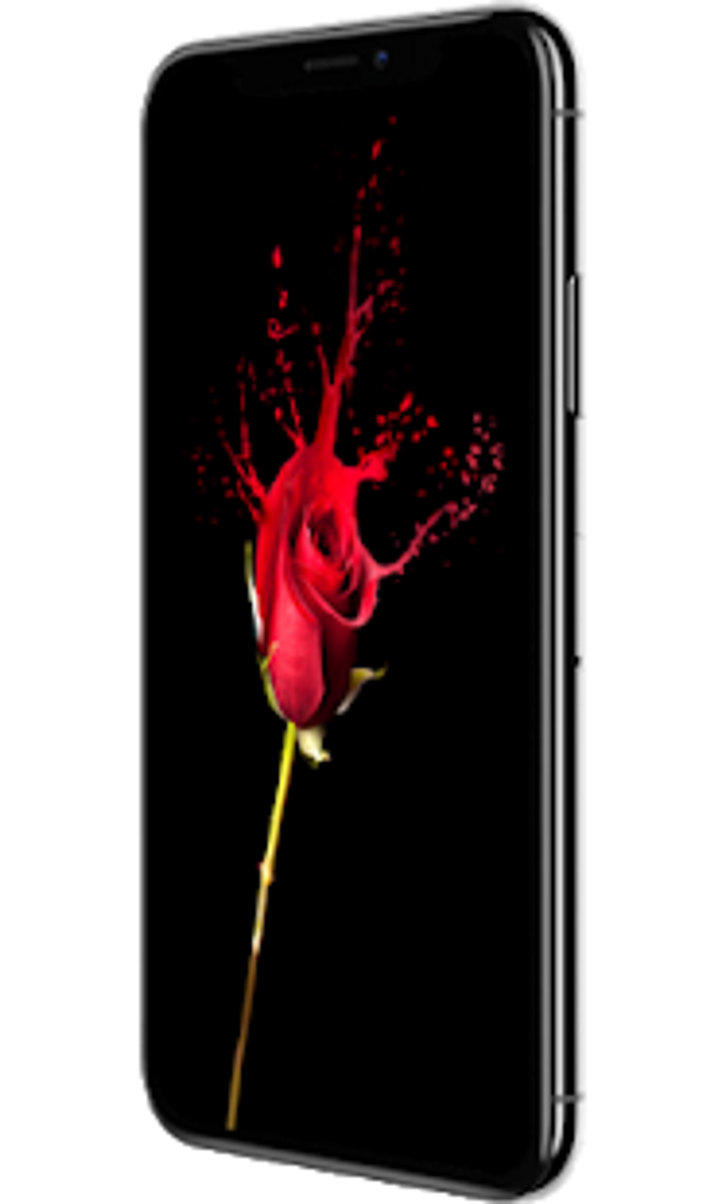 Red Rose Flower Lock Screen Red Rose wallpapers APK for Android - Download