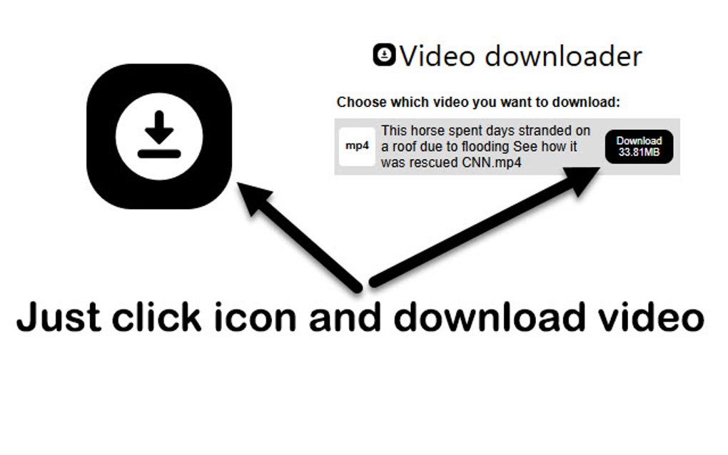 Video downloader for Google Chrome - Extension Download