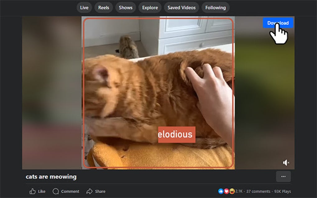 ClipSave Facebook Video Downloader para Google Chrome - Extensión Descargar