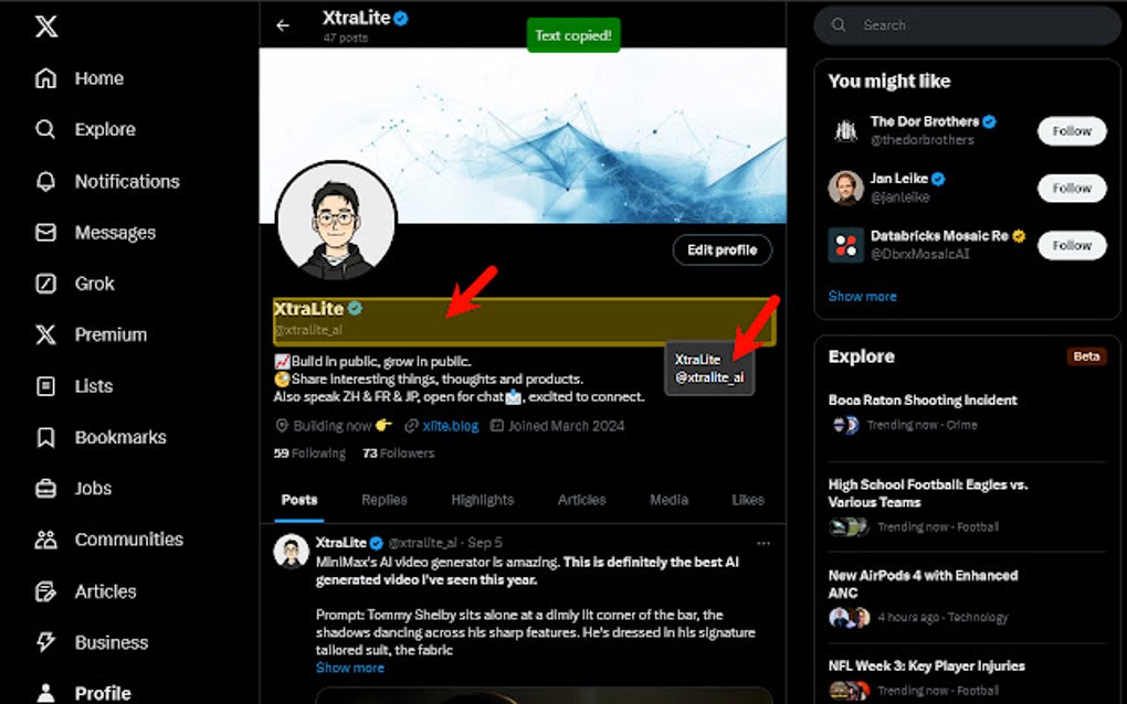 CopyWizard Pro: Smart Text Capture & Copy for Google Chrome - Extension ...