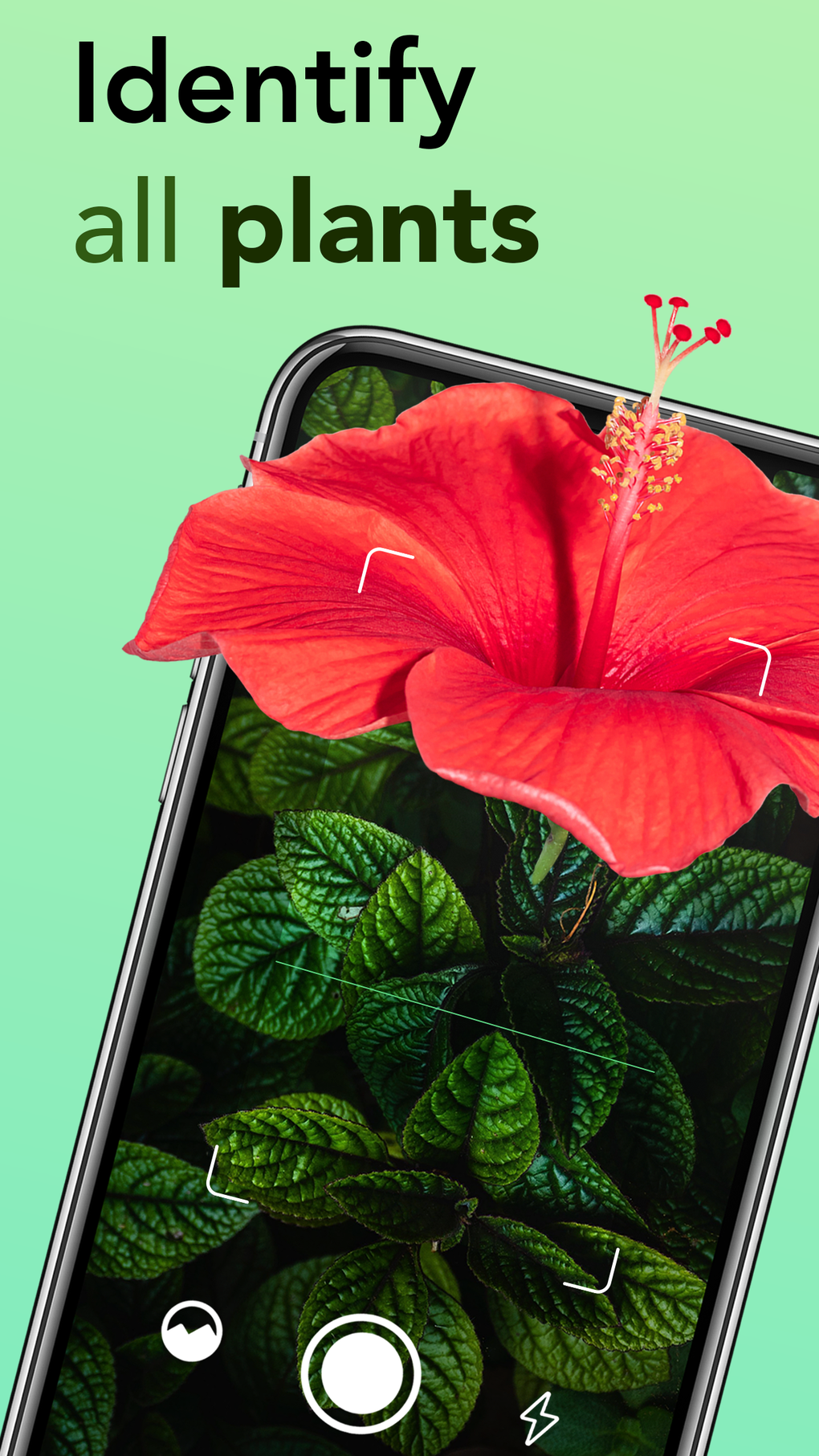 iPhone için Plant identification - Plants - İndir