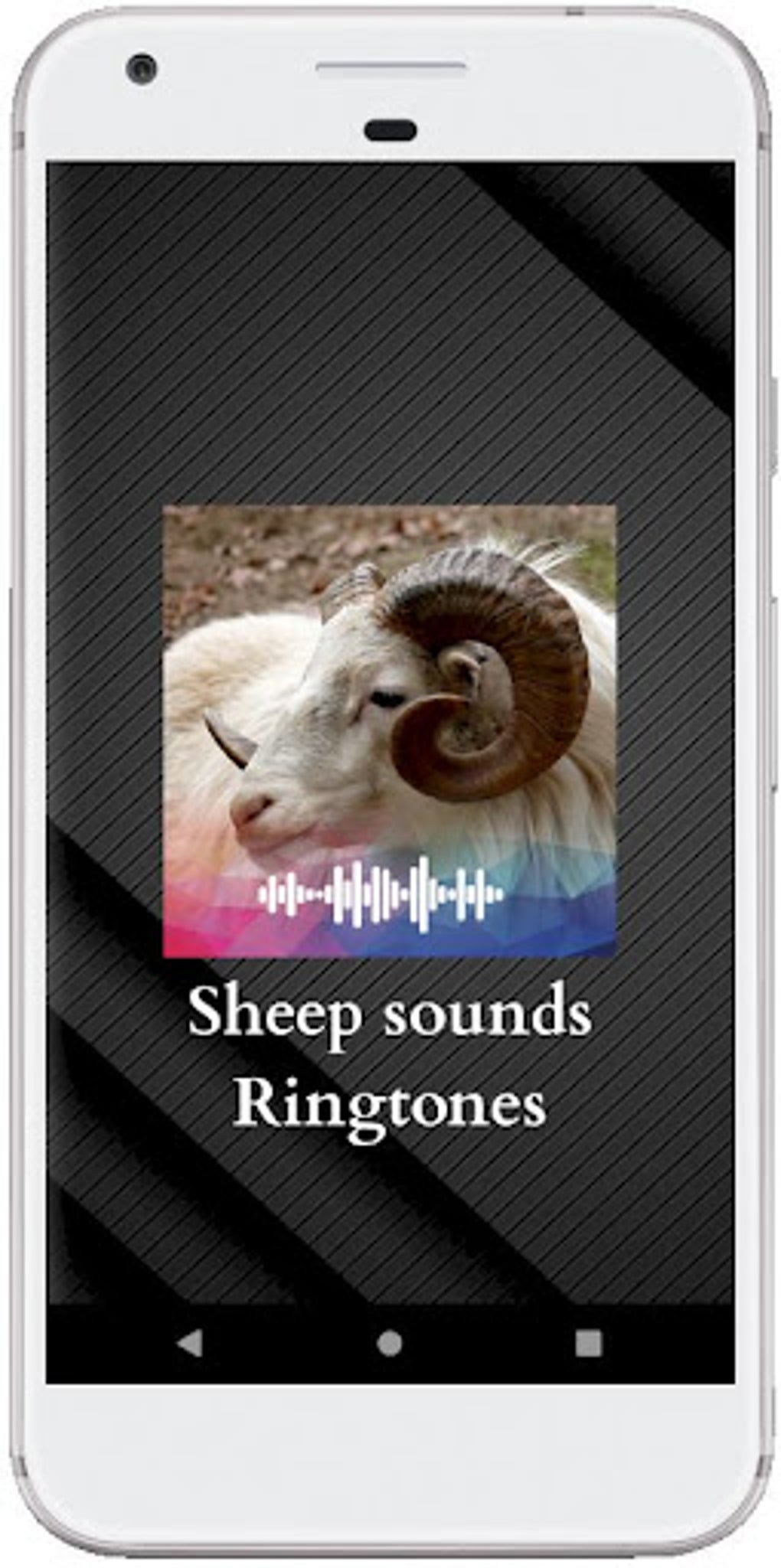 Sheep sounds Ringtones for Android - Download