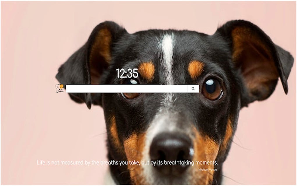 Dogs Backgrounds for Google Chrome - Extension Download