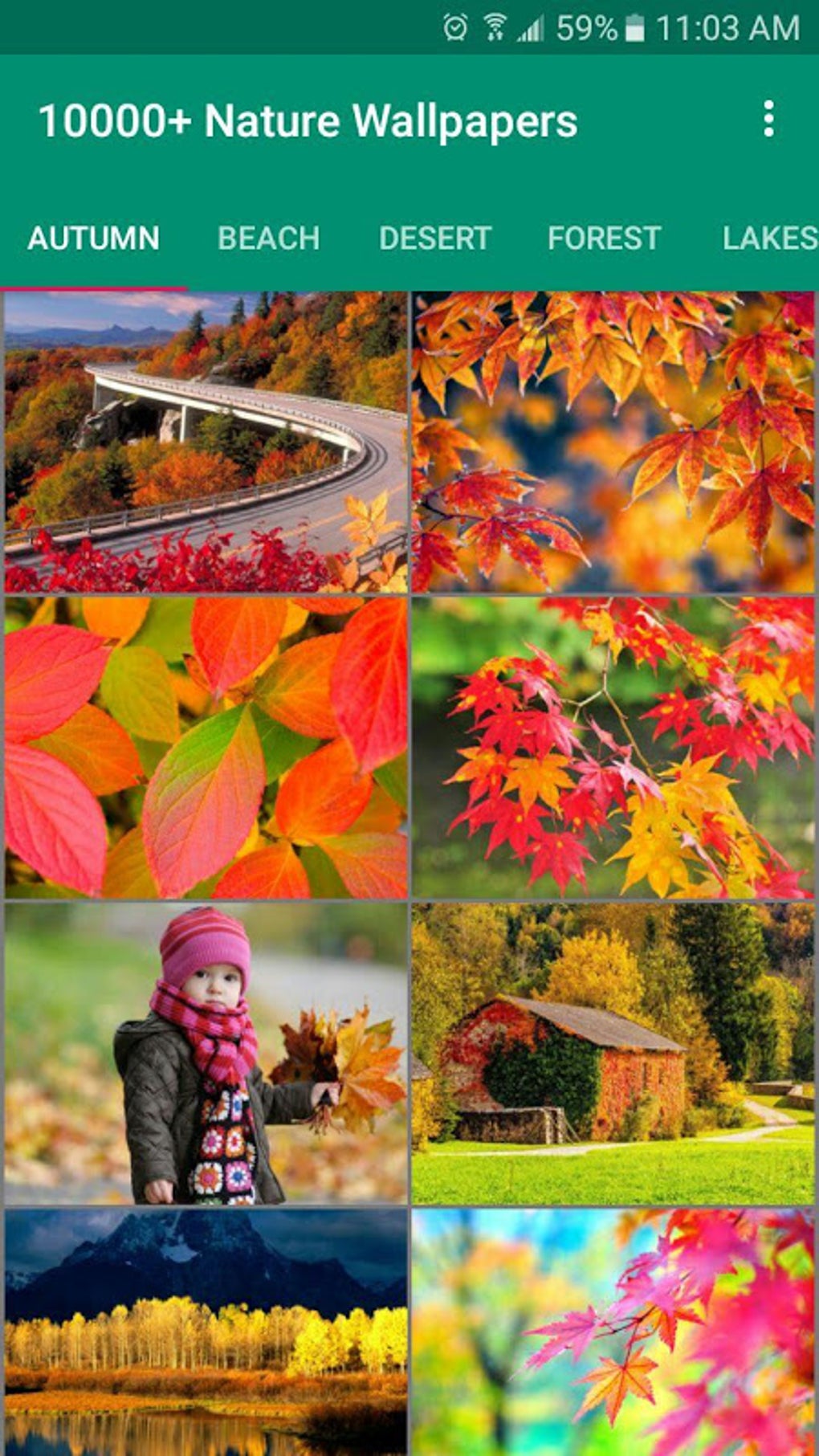 10000+ Nature Wallpapers APK per Android - Download