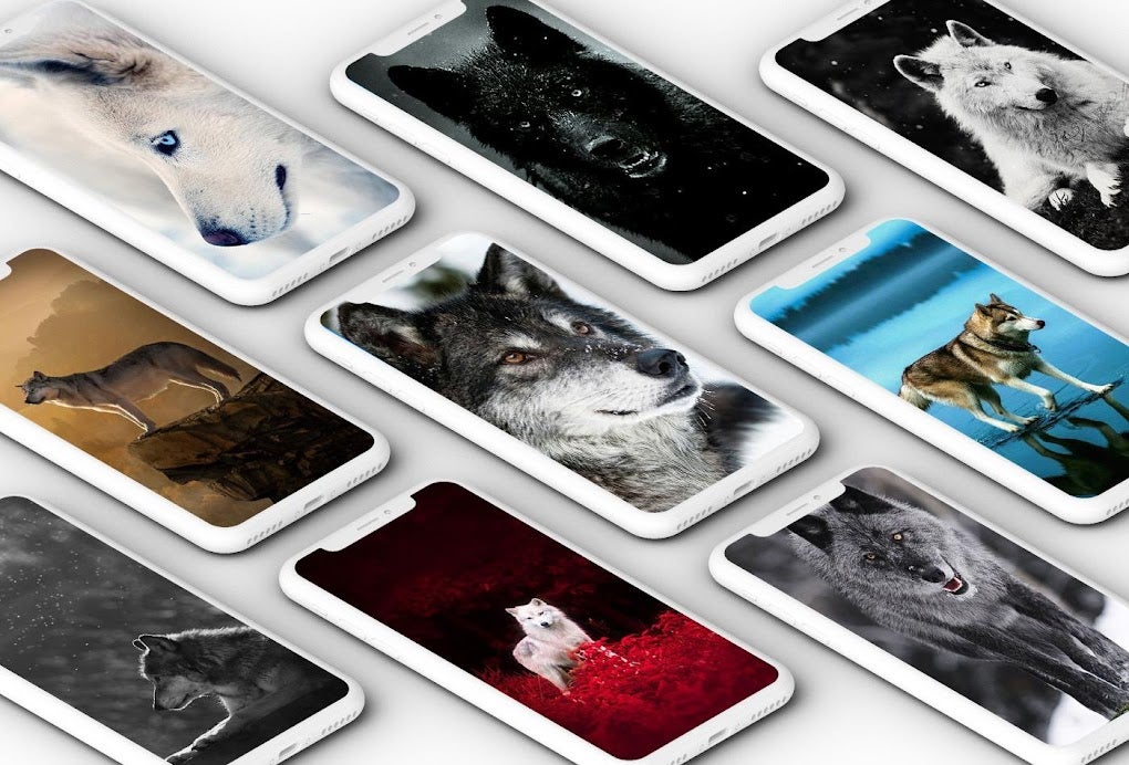 Wolf Wallpaper for Android - Download