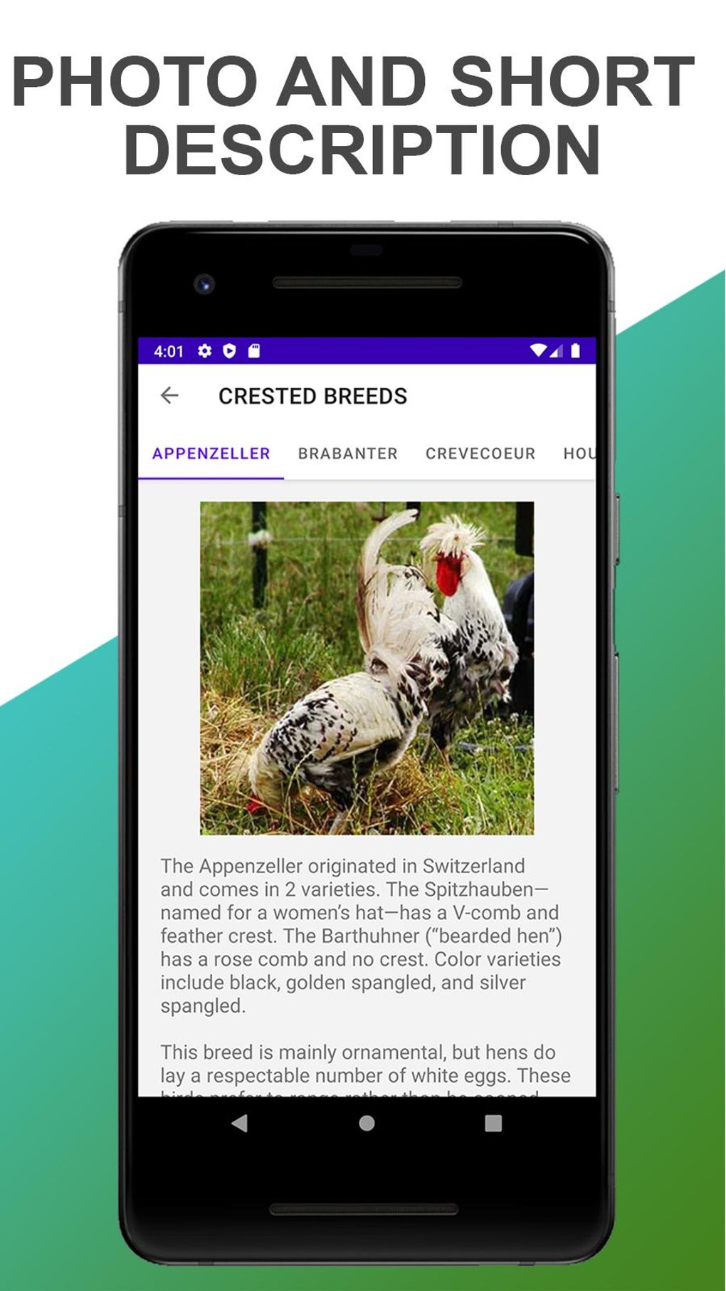 Breeds of Chickens for Android - Download