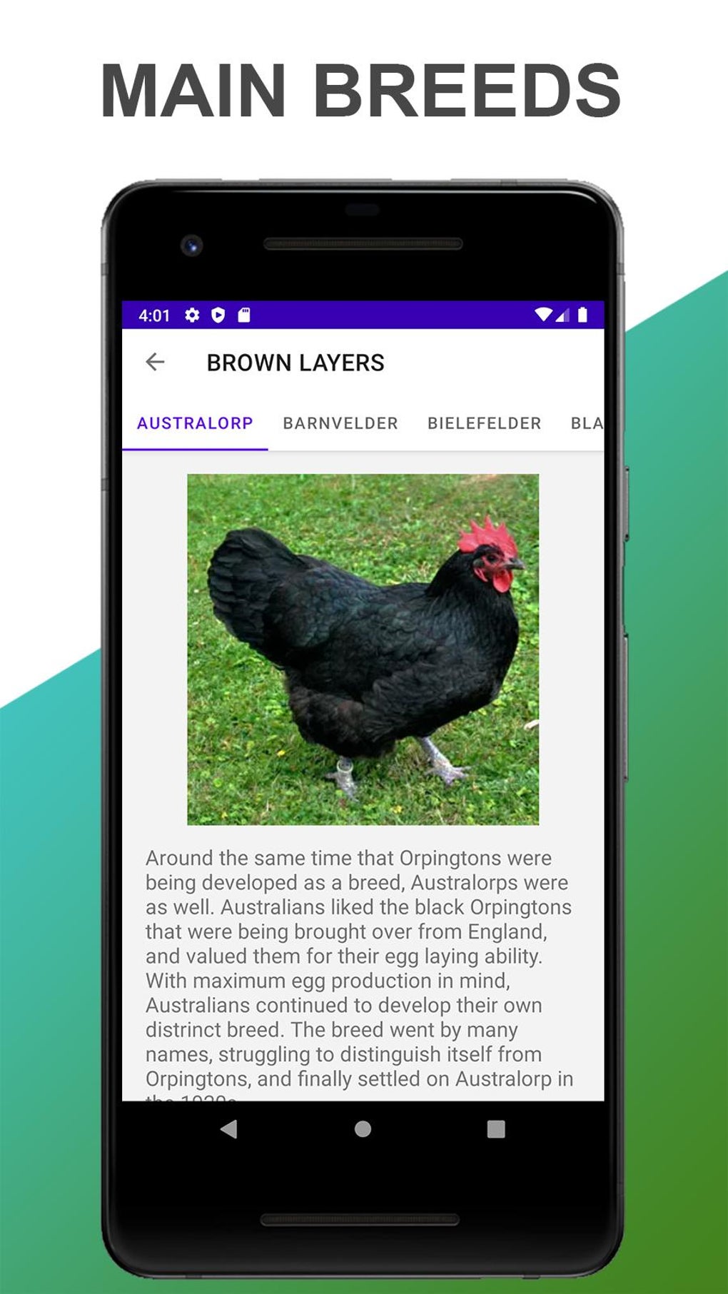 Breeds of Chickens for Android - Download