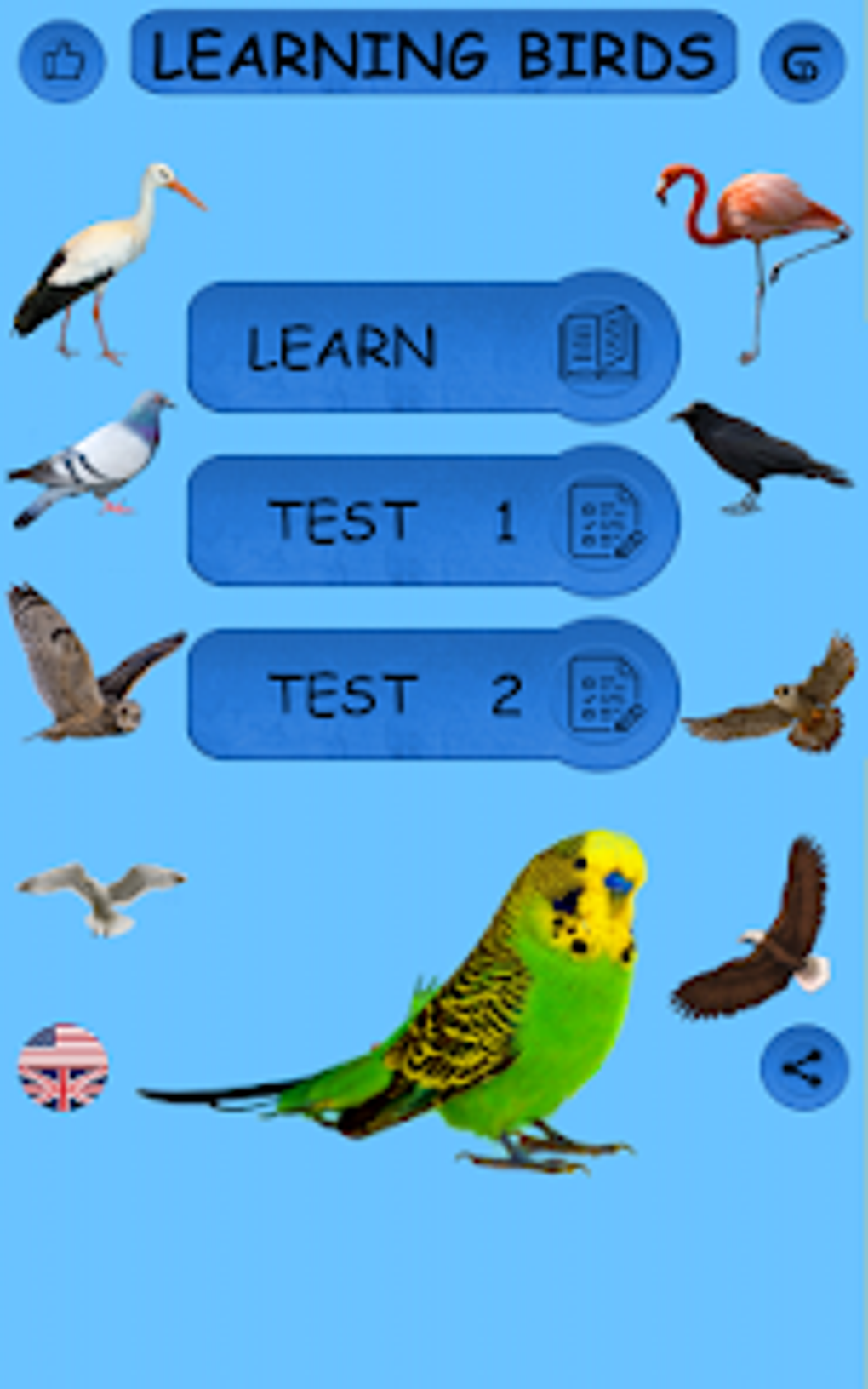 Birds - Learning Birds para Android - Descargar