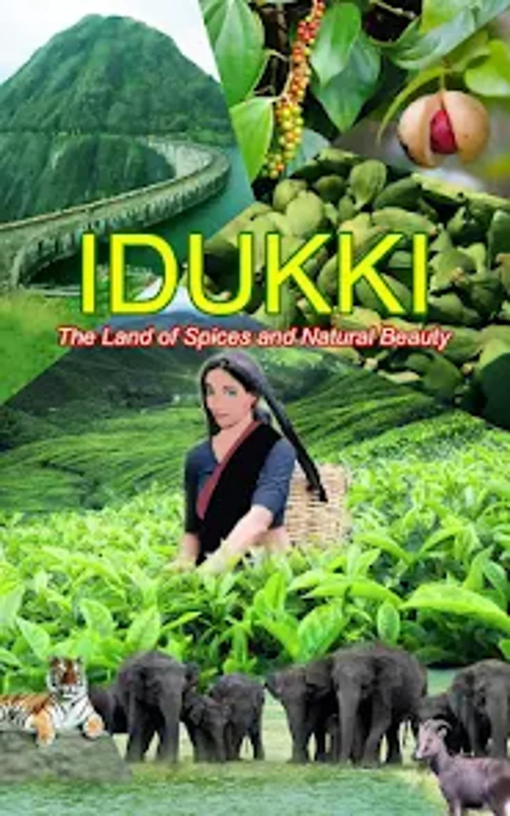 Idukki for Android - Download