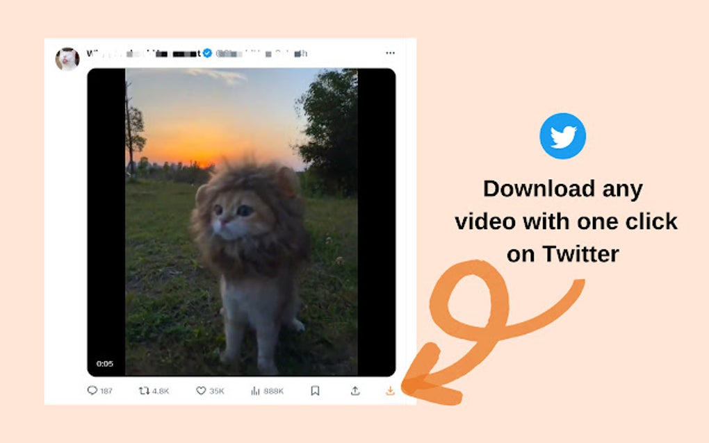 Twitter Video Downloader для Google Chrome - Расширение Скачать