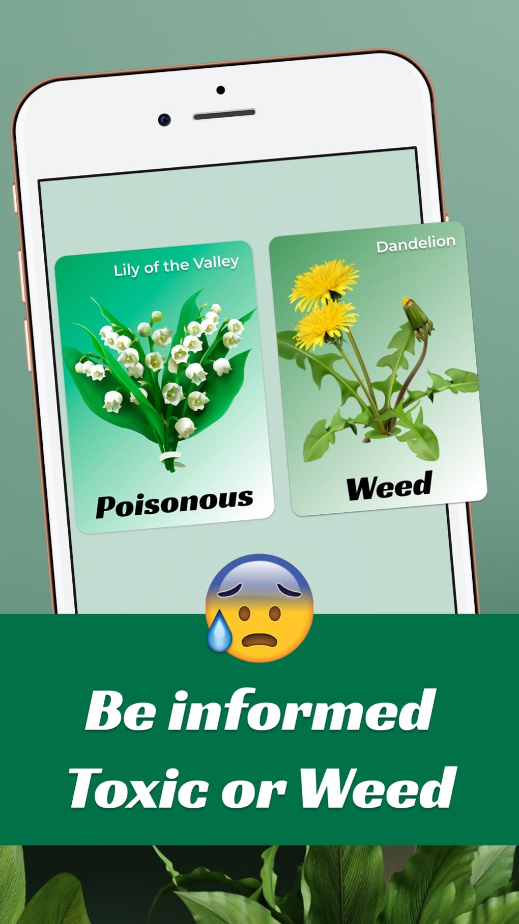 Plantia Plant Identifier For IPhone Download