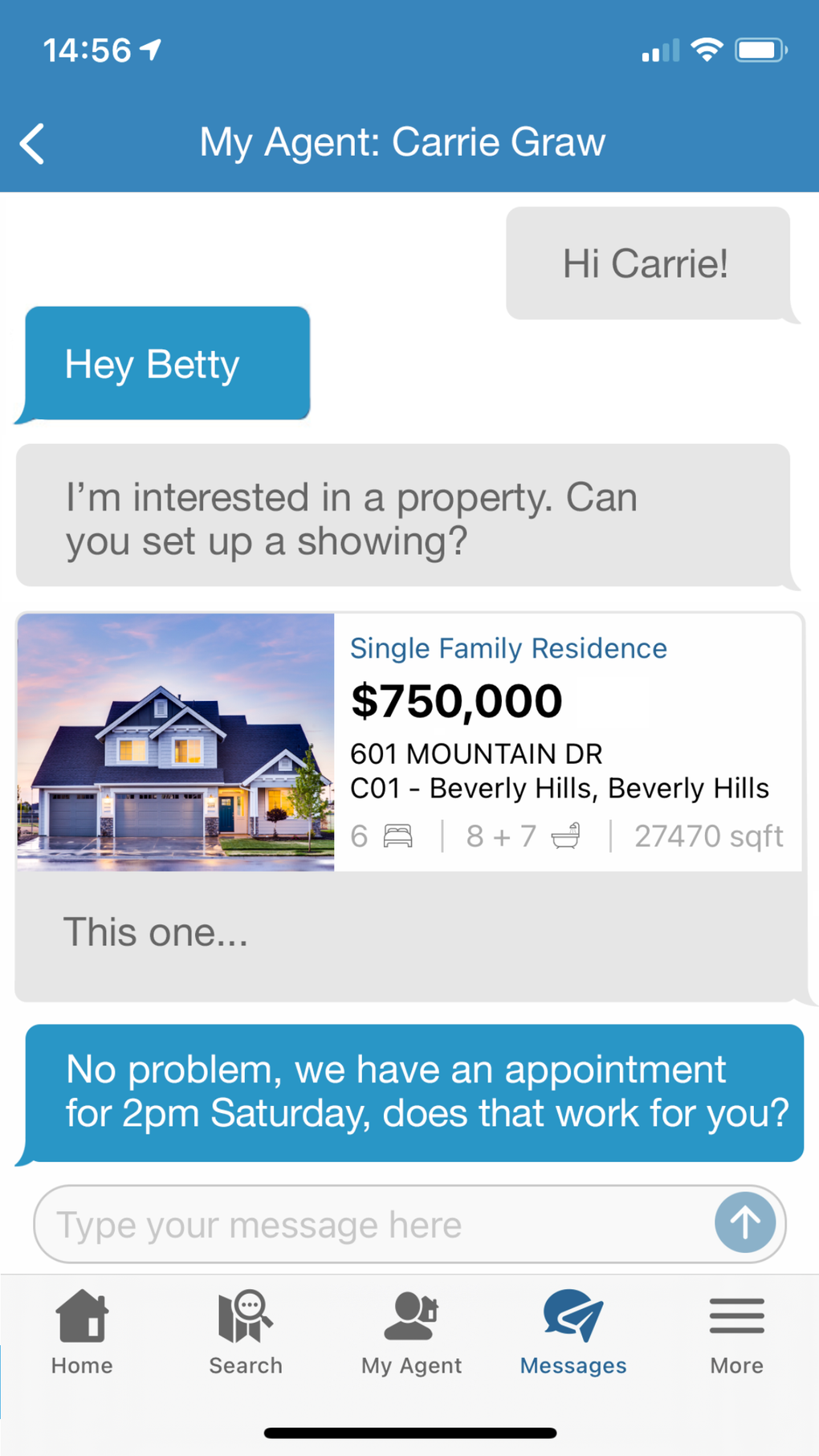 MLS-Client for iPhone - Download