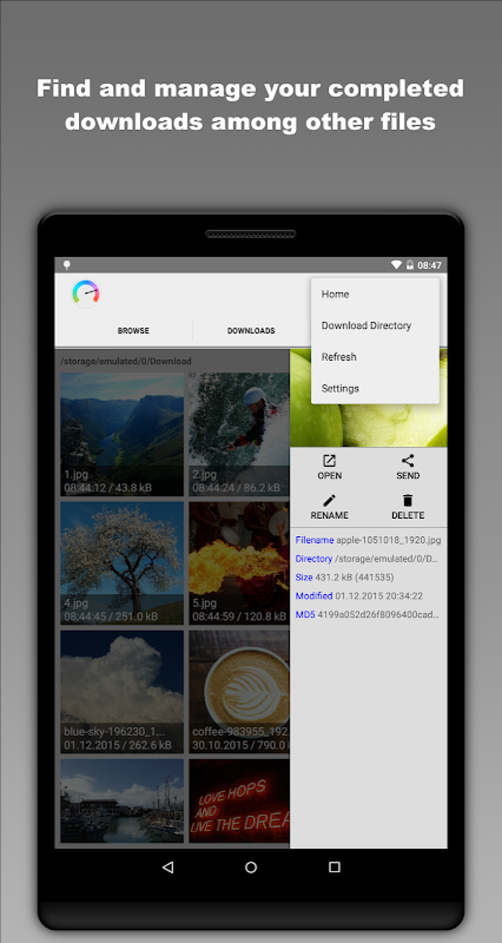 Download Manager APK para Android - Descargar Download Manager APK para Android - Descargar