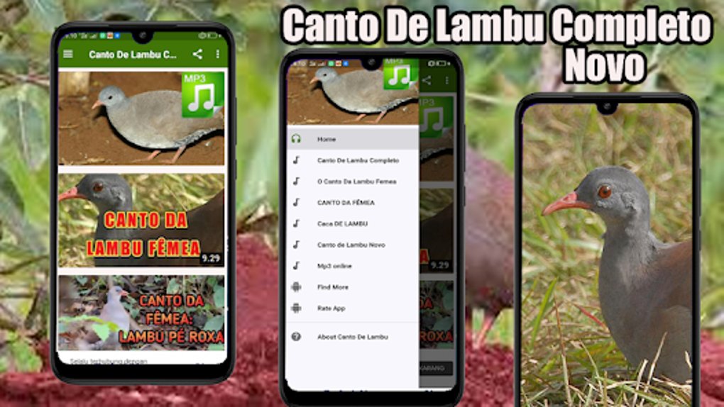 Canto De Lambu Completo para Android - Descargar