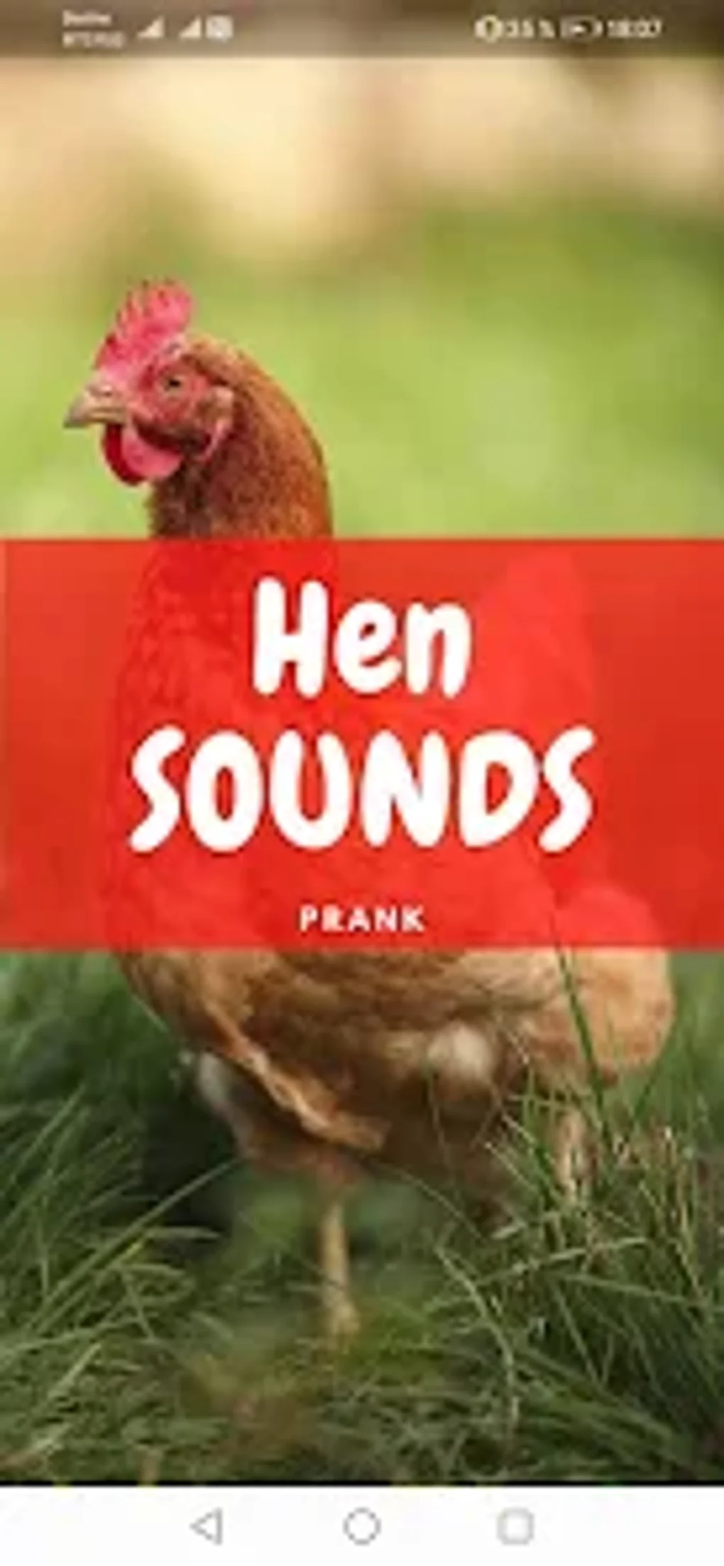 Hen Sound and Wallpapers para Android - Descargar