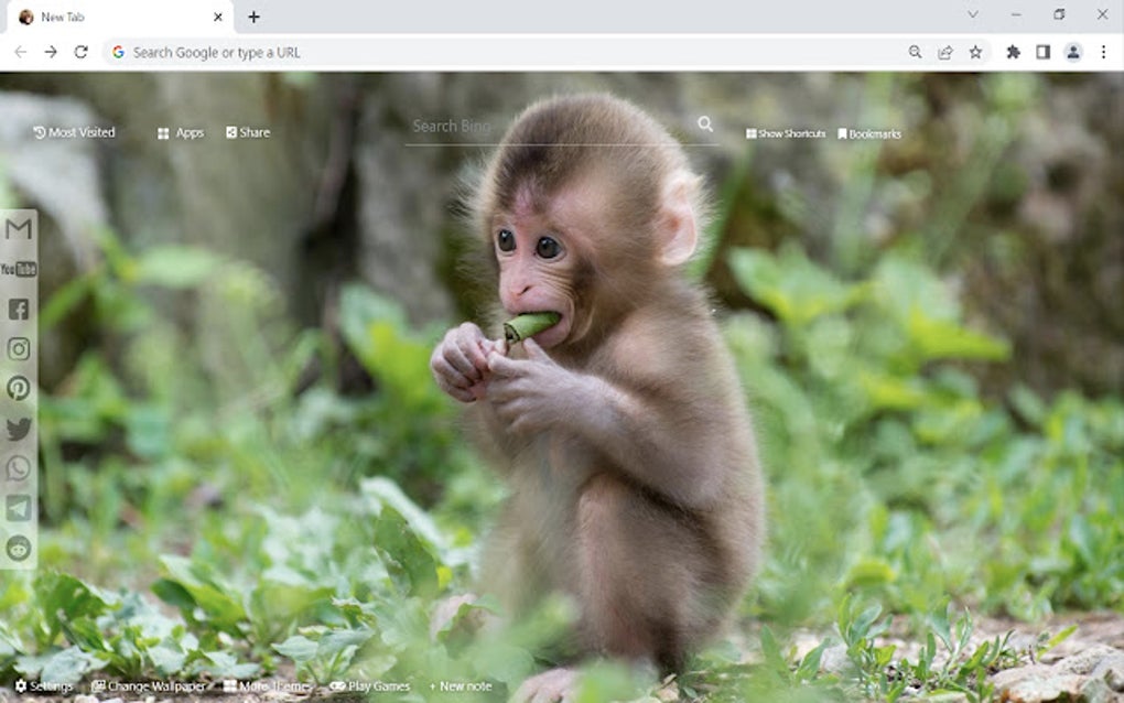 Monkey Wallpaper สำหรับ Google Chrome - ส่วนขยาย ดาวน์โหลด
