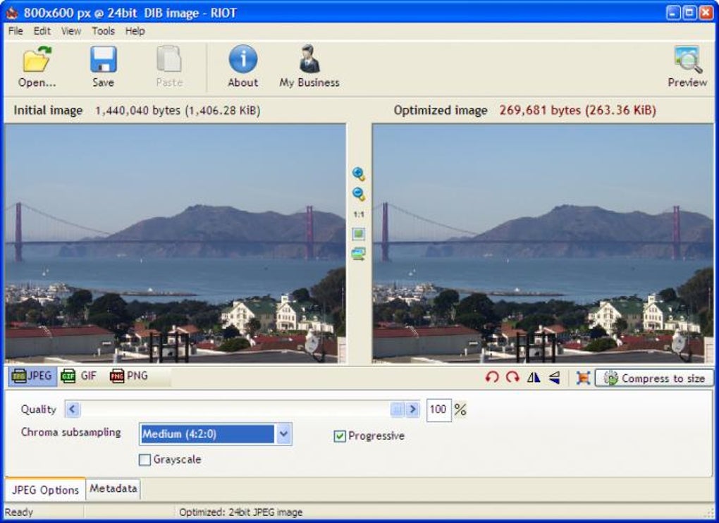 RIOT Portable - Download