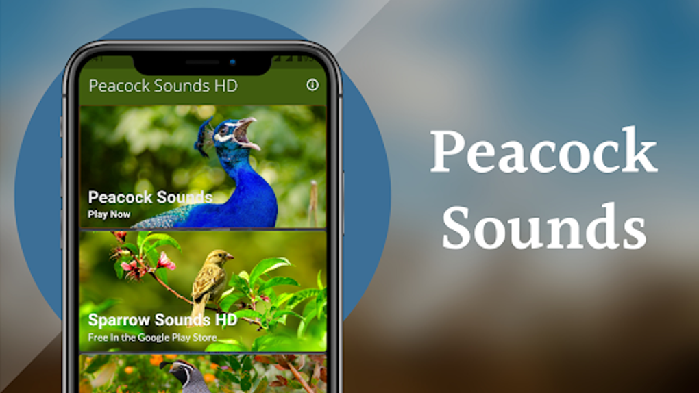 Peacock Sounds for Android - Download