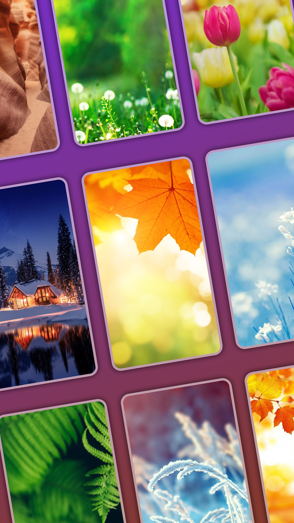 Word Crossy Brain Games For IPhone Download Word Crossy Brain Games For IPhone Download